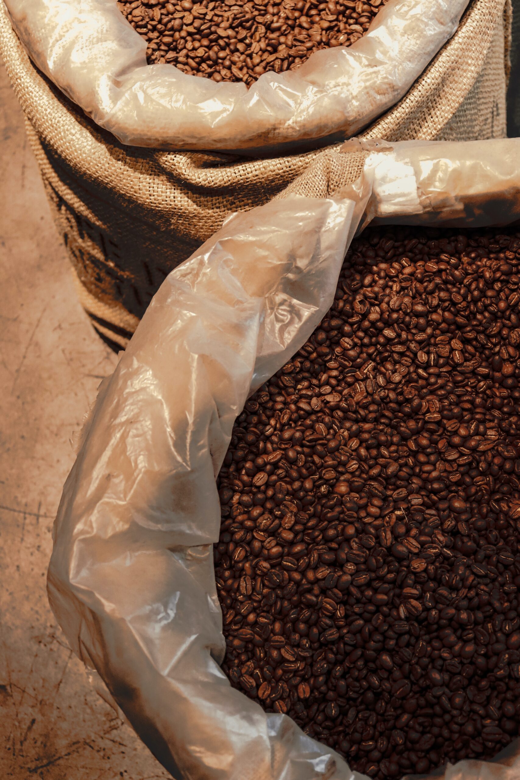 Wholesale | Howden Coffee
